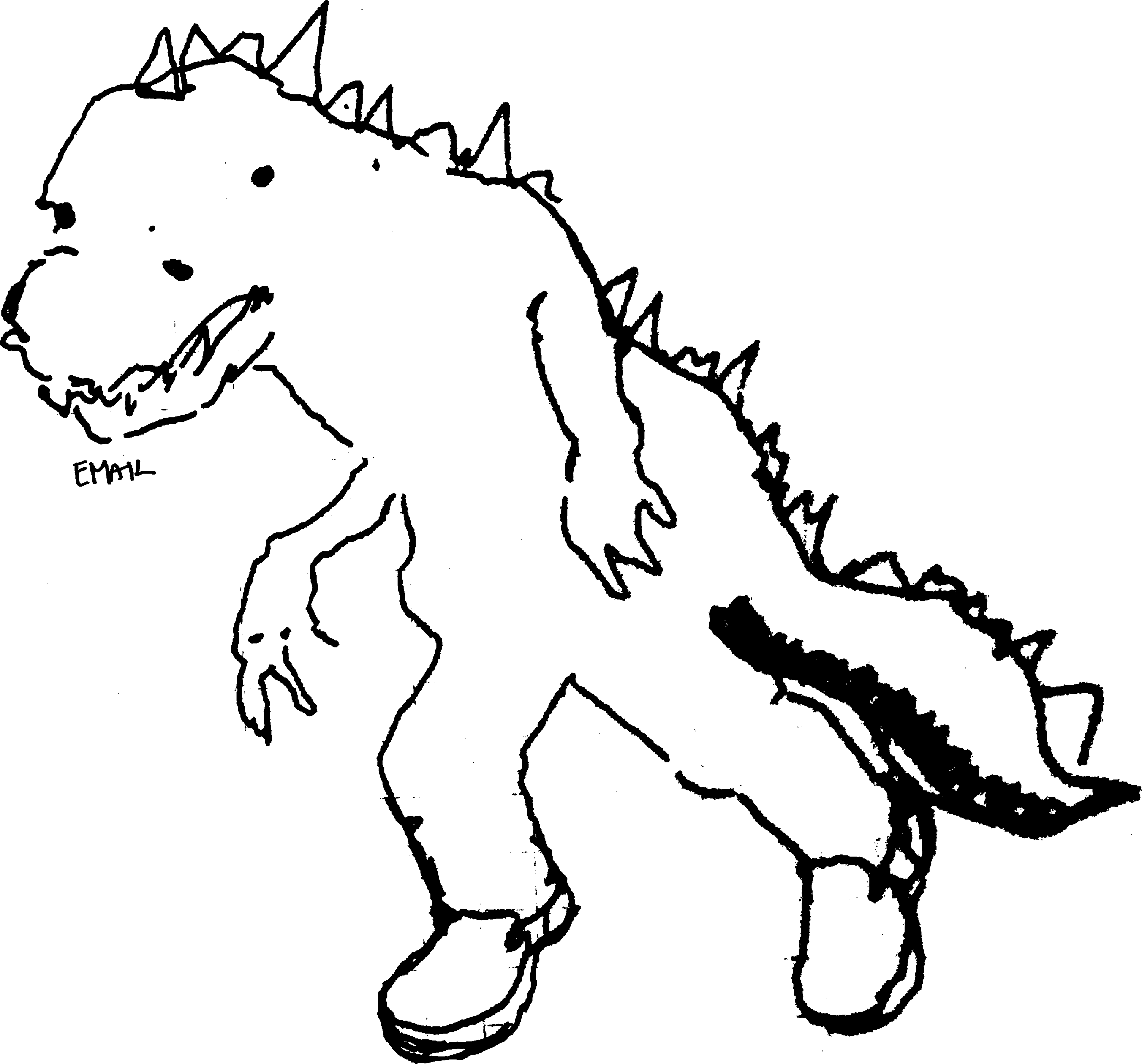 monty.pk